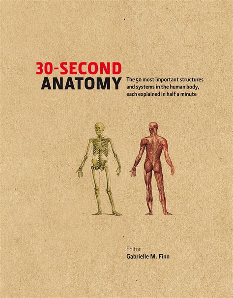 30 Second Anatomy The 50 Most Important Structures And Systems In The