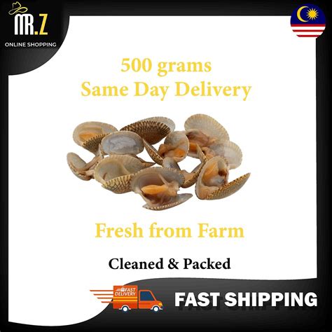 🔥fast Shipping🔥fresh Seafood Lala Sea Clam 500g Shopee Malaysia
