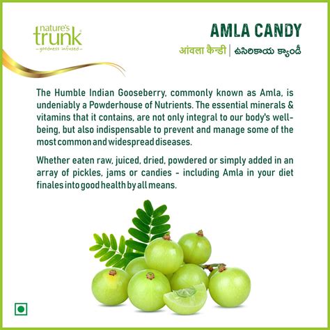Amla Candy 250 Grams Natures Trunk Buy Indian Products Online Raffeldeals Buy Indias Best