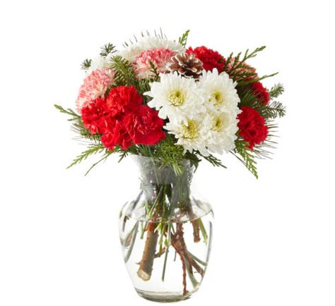 Canada Flowers Ftd Candy Cane Lane Bouquet Ch79fa