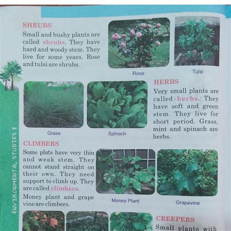 Evs Ch 10 Evs Notes Teachmint