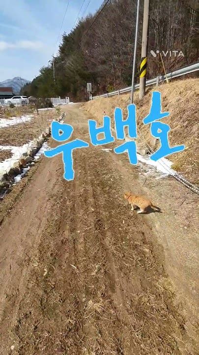 좌청룡 우백호 Youtube