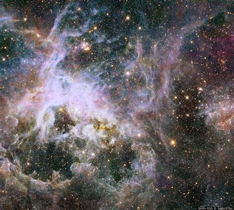 Tarantula Nebula Captured In Stunning Detail By Nasas Hubble Space