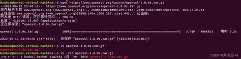 【linux Arm】安装海思himix200交叉编译openssl Arm静态库与动态库arm Himix200 Linux Csdn博客