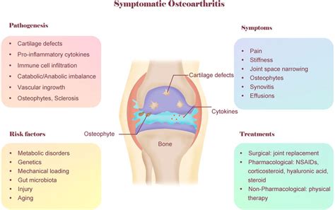 Frontiers Physical Therapy As A Promising Treatment For