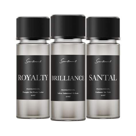 Shop Scent Diffusers By Scentiment Scentiment