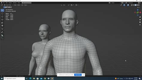 Modelo 3d Clean Topology Base Mesh Male And Female Gratis Turbosquid