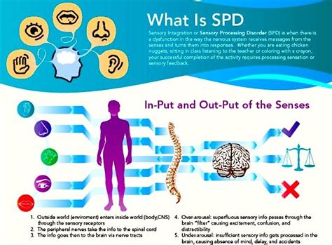 What Is Sensory Integration Disorder Symptoms Diagnosis And Treatment