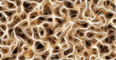 What Is Neuronal Depolarization And How Does It Work What Is Neuronal Depolarization And How Does It Work