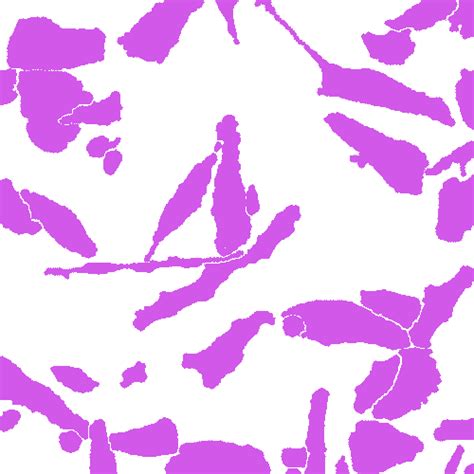 Annotated Quantitative Phase Microscopy Cell Dataset Ninja