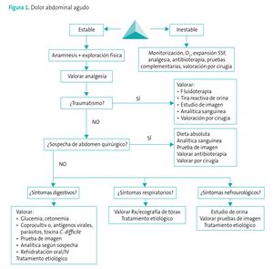 Diagnóstico Y Tratamiento Del Dolor Abdominal Agudo En Urgencias