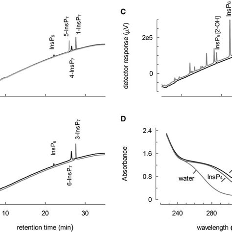 Metabolic Relations Of Inositol Phosphates And Diphosphoinositol Download Scientific Diagram