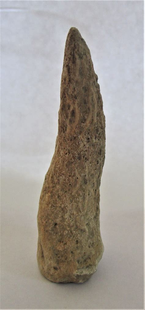 Identification Ammonite Plus Un Probable Fossile Demandes D Identification De Fossiles Géoforum