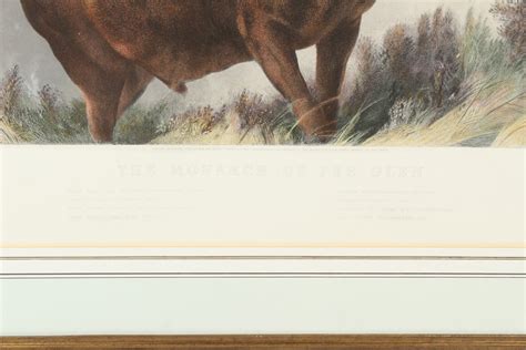 Edwin Landseer Monarch Of The Glen 1868 Mutualart