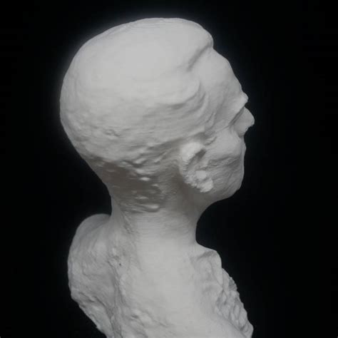 3d Printable Sever Bocu In Timisoara Romania By Alban Pllana