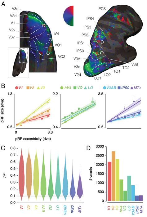 Figures And Data In Spatial Sampling In Human Visual Cortex Is Modulated By Both Spatial And