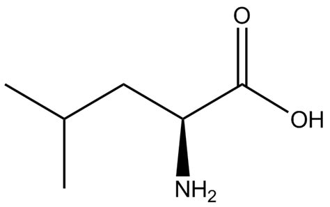 Leucine Leu Có Công Thức Cấu Tạo Thu Gọn Như Sauleucine Là Amino