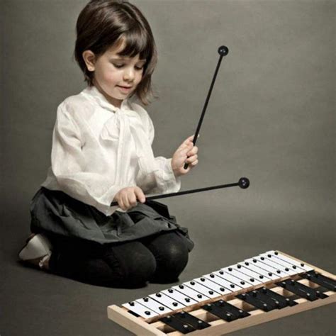 27 Note Percussion Xylophone Shein Usa