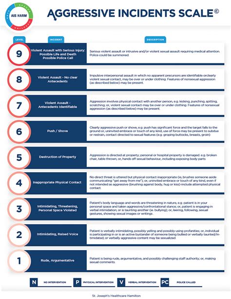 The Aggressive Incidents Scale