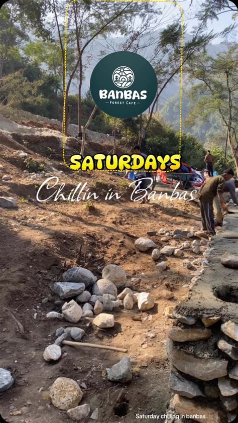 Banbas Forest Cafe Banbashetauda • Instagram Photos And Videos
