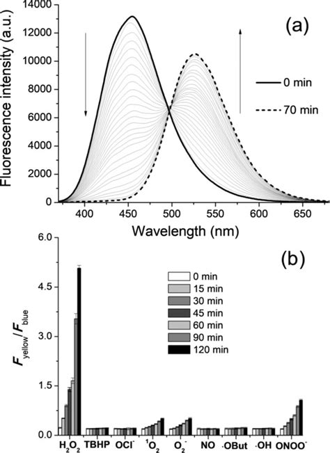 A Two‐photon Ratiometric Fluorescent Probe For Imaging Of Hydrogen