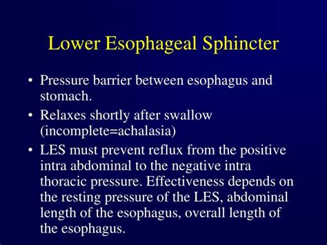 What Is A Lower Esophageal Sphincter At Shelly James Blog
