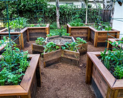 Why Raised Beds For Vegetable Garden At Michelle Farrell Blog