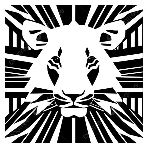 How To Avoid Contracting A Vector Borne Disease How To Avoid Contracting A Vector Borne