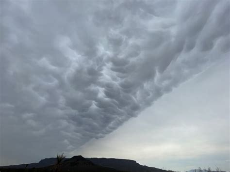 Stratocumulus Cloud Appreciation Society