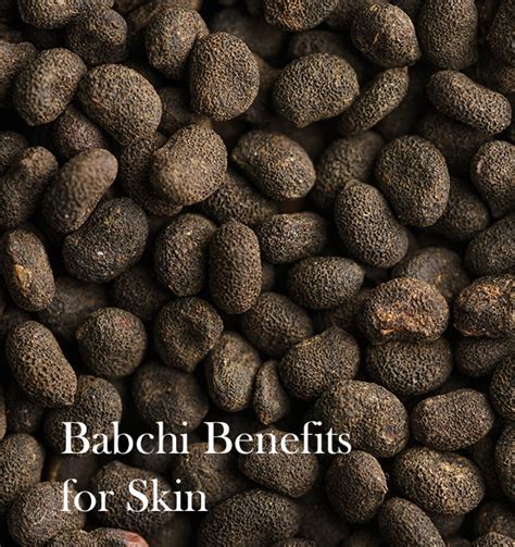 Babchi A Wonder Ingredient For Your Skin Beautybybie