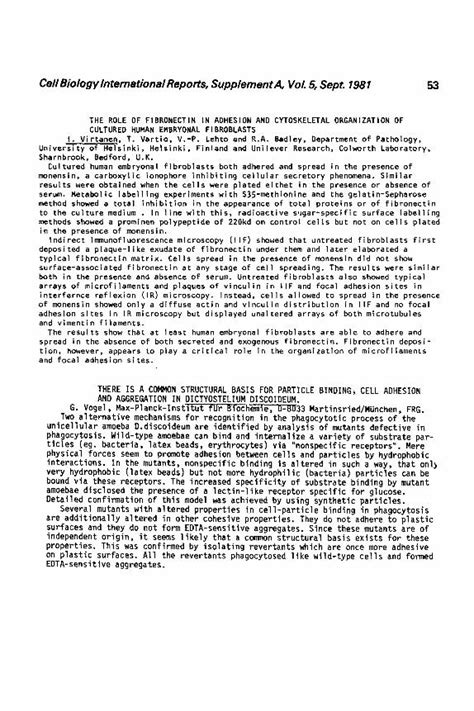 Pdf There Is A Common Structural Basis For Particle Binding Cell