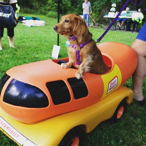 Weenie Mobile Weenie Toy Car Fundraising