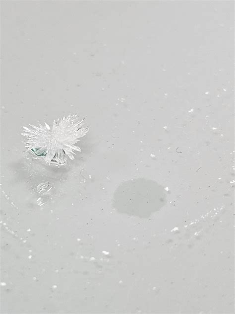 The Thrill Of Science Fransche Beukes