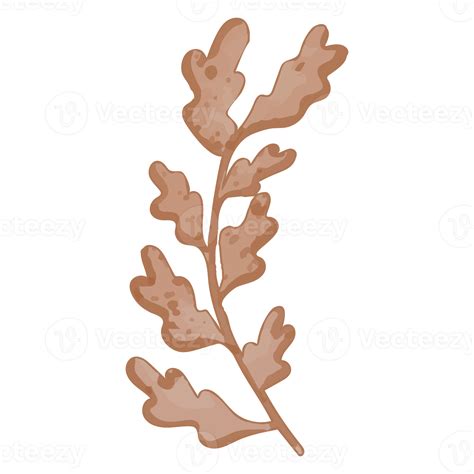 Watercolor Dried Leaf Branches Clipart 11460982 Png