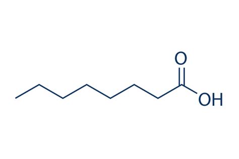 Octanoic Acid Cas 124 07 2 Selleck