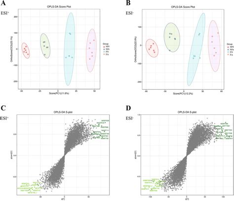 Sex Differences In Alcohol Inhibits Bone Formation And Promotes Bone