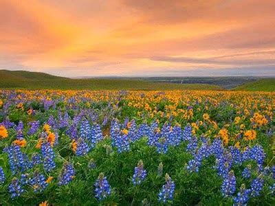Most Amazing Places In The World