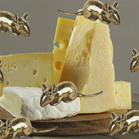 Brass Mouse Brown And Co Wellington