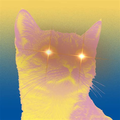 Cat Laser Beam Eyes 