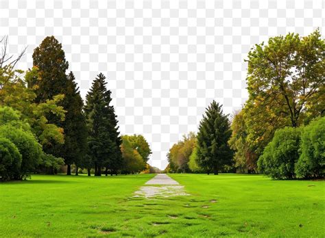 Png Park Border Nature Plant Free Png Rawpixel