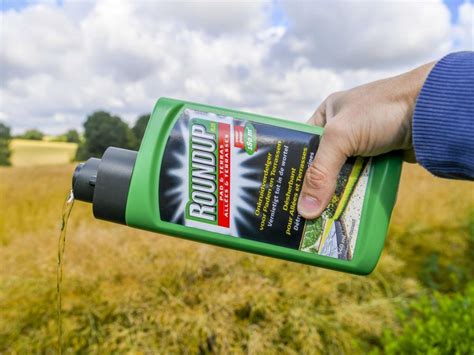 Quest Ce Que Le Glyphosate Principe Actif Du Roundup Sciences Et