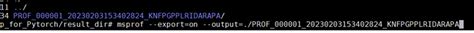 Torch Npu报错定位技巧runtimeerror Npu Synchronizedevice Npu Function Csdn博客