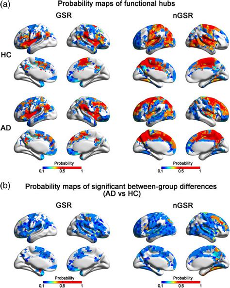 Probability Maps Of Functional Hubs And Probability Maps Of Significant