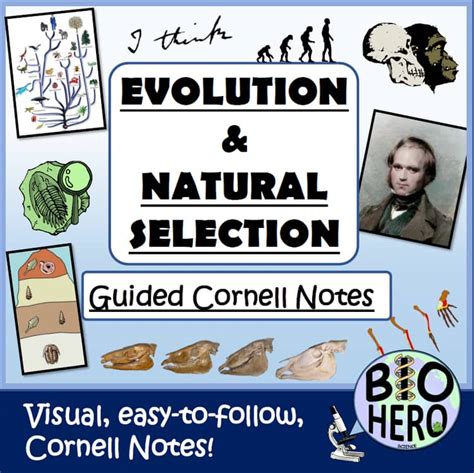 Evolution And Natural Selection Unit Cornell Notes By Biohero Tpt