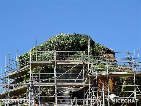 Suzanne Lee Disneyland Resort Update 04142024 26 Of 67 Micechat