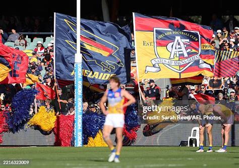 Crows Cheer Squad Celebrate Another Goal During The 2025 Afl Round 11 News Photo Getty Images