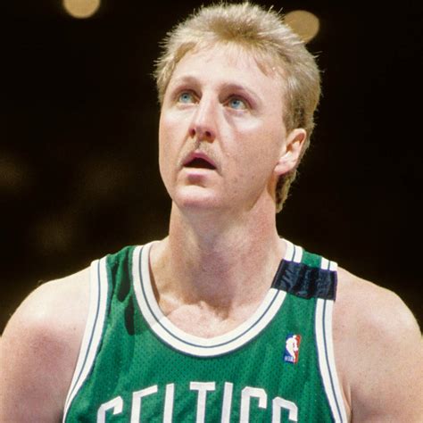 Larry Bird Amazon At Isabella Jolly Blog