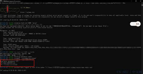 公益SRC实战 SQL注入漏洞攻略 CN SEC 中文网