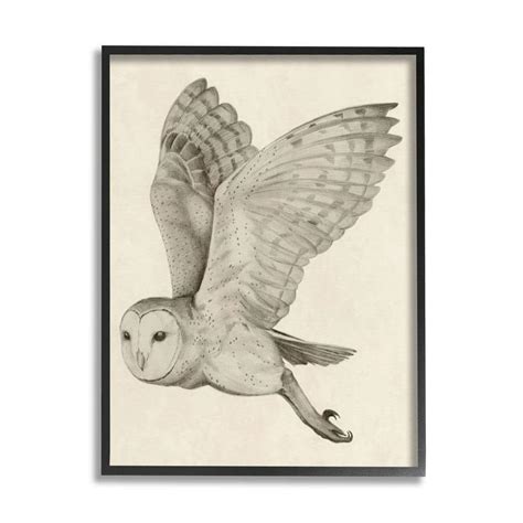 Free Printable Owl Wings Download Free Printable Owl Wings Png Images