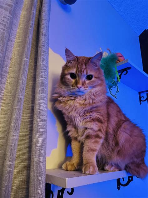 My Special Guy Mr Feeny Album On Imgur